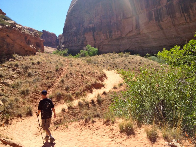 Moab hiking: Negro Bill Canyon Trail & Morning Glory Bridge – cool ...