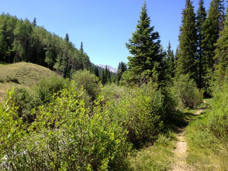 Aspen hiking: River Run trail – cool adventures