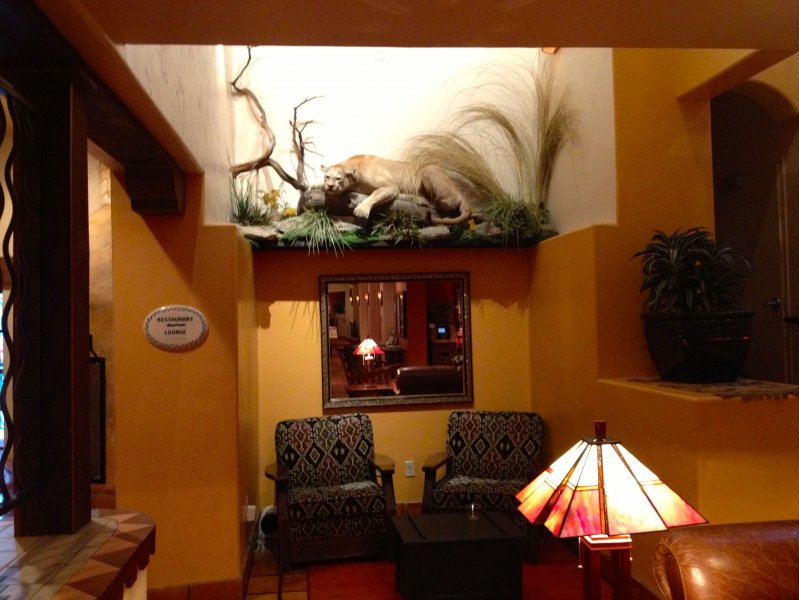 Table Mountain Inn Golden Colorado – cool adventures
