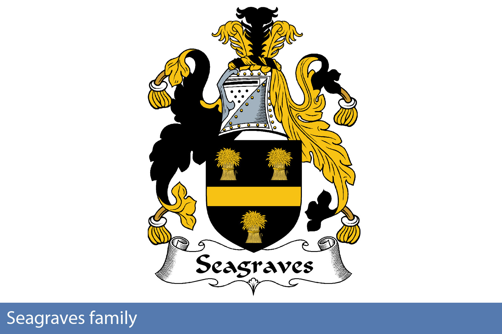 Seagraves family research – cool adventures